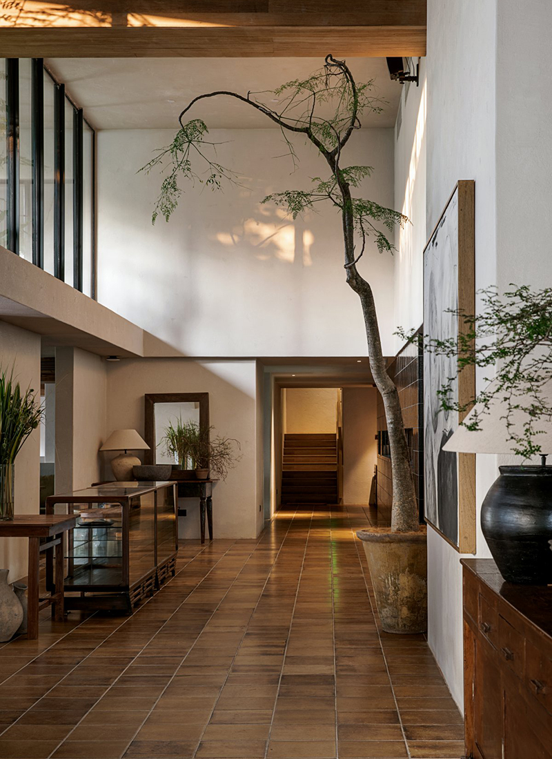 YINJISPACE - Signyan Design