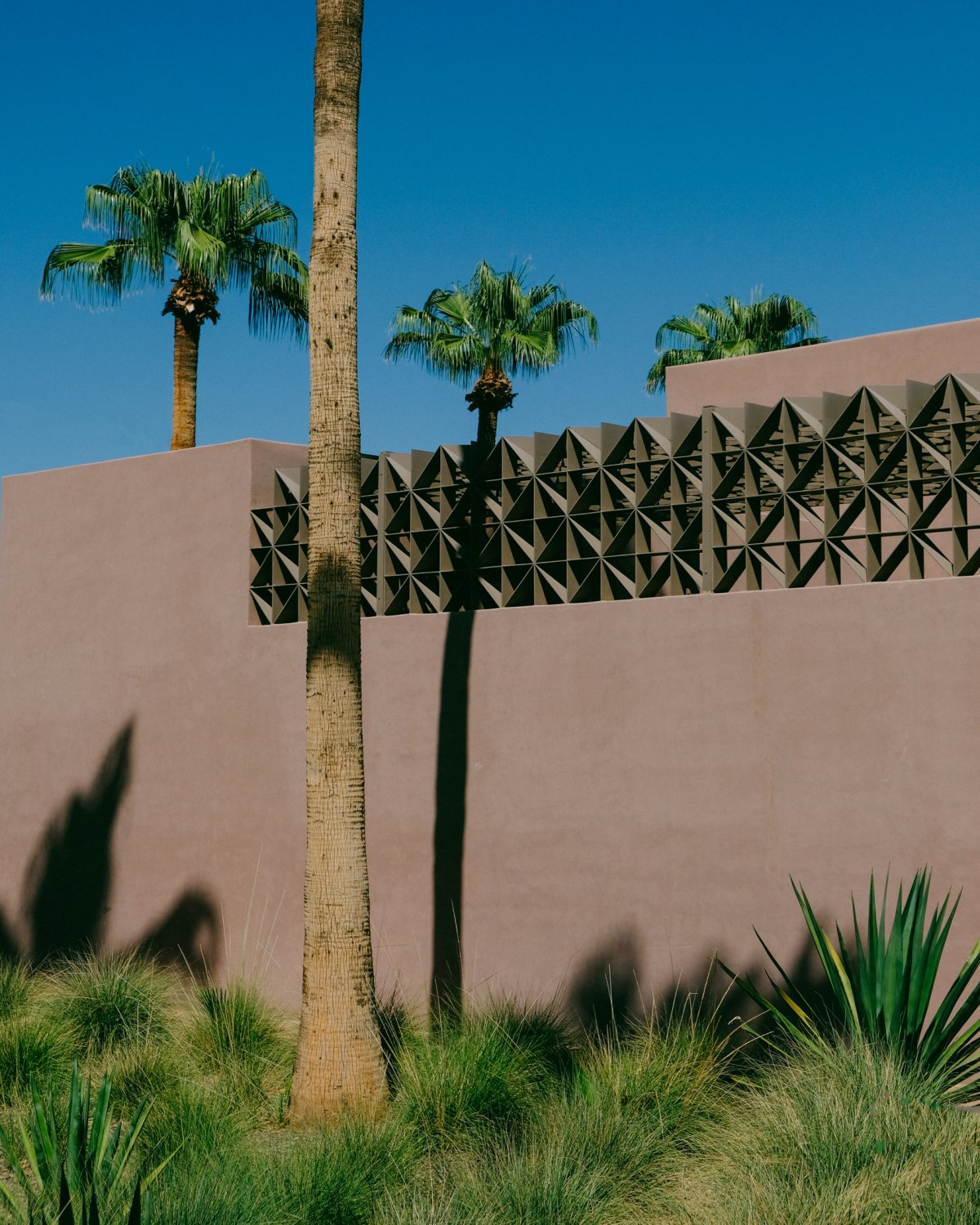 YINJISPACE - Antoine Predock x Nelson Fine Arts Center