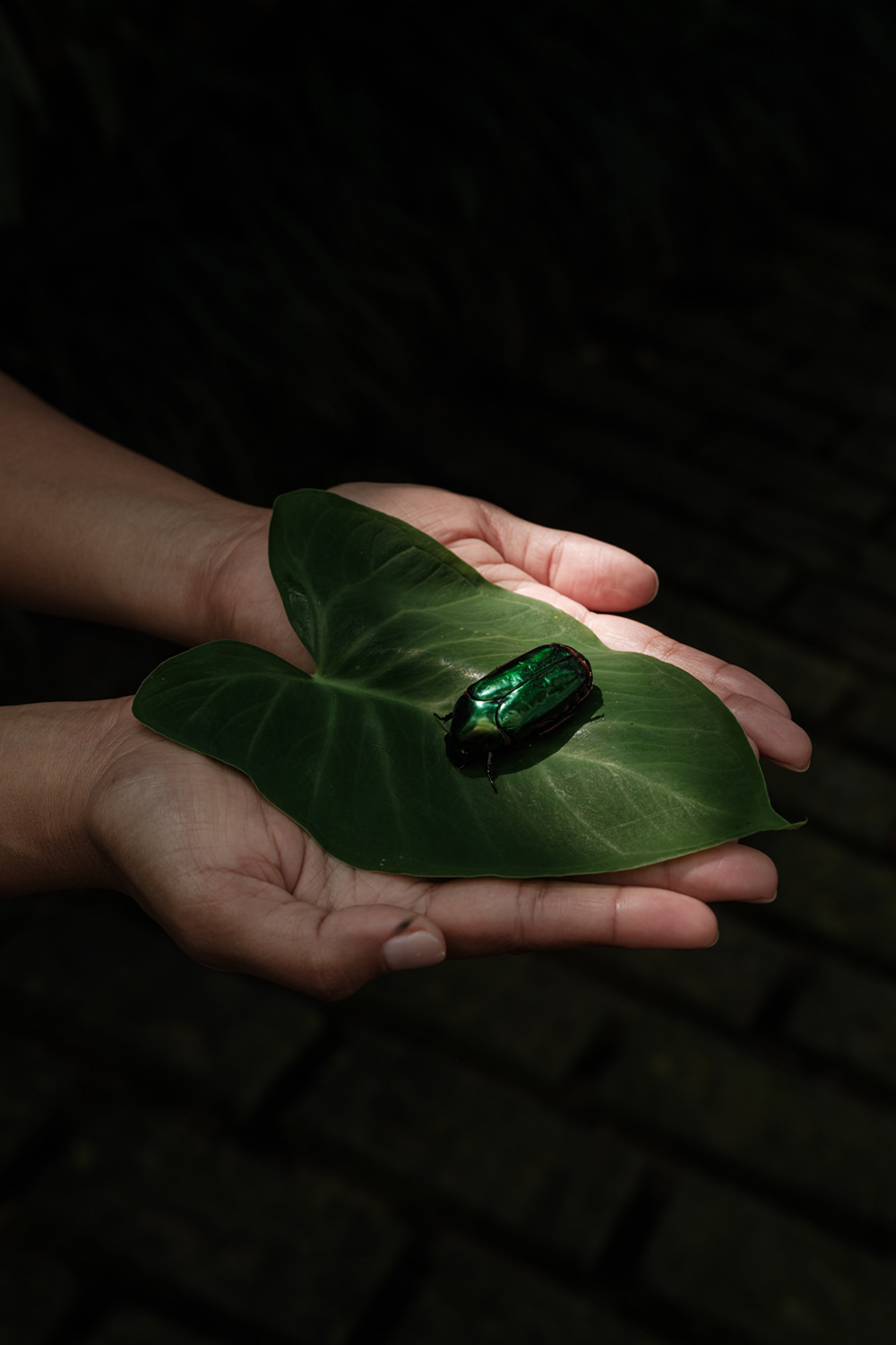 YINJISPACE - Georg Roske x The Eye Behind Georg Roske