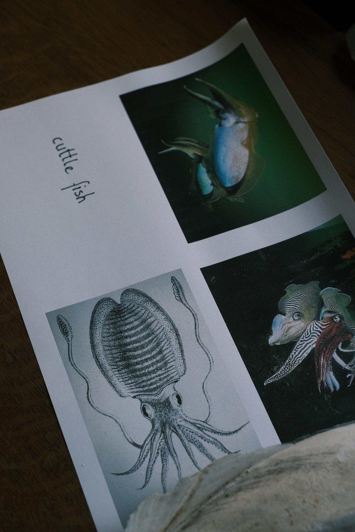 YINJISPACE - Catherine Rochtus x A Visit to Jewelry Craftsman Catherine ...