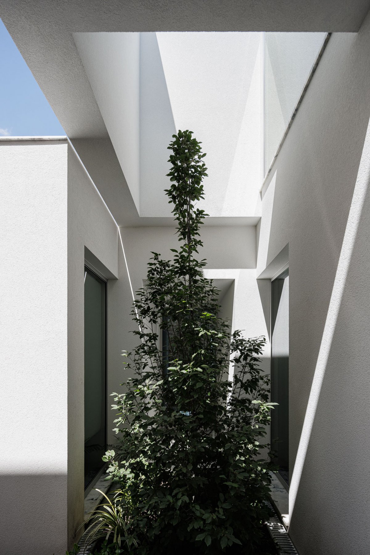 YinjiSpace - Pema Studio x Forte House